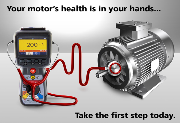 Download FREE motor testing guide